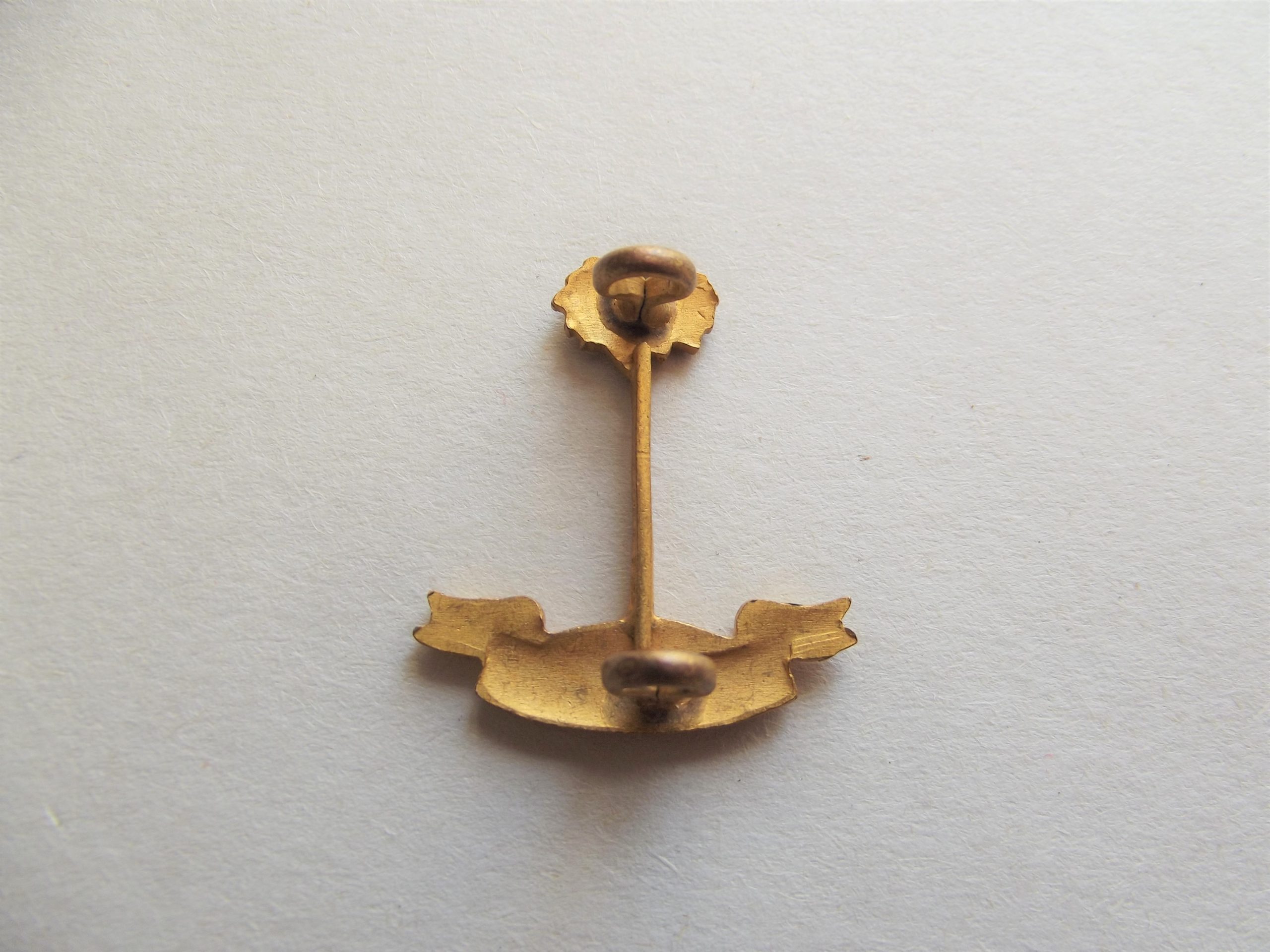 ROYAL WESTERN AFRICAN FRONTIER FORCE OFFICERS GILT BERET BADGE - DBG ...